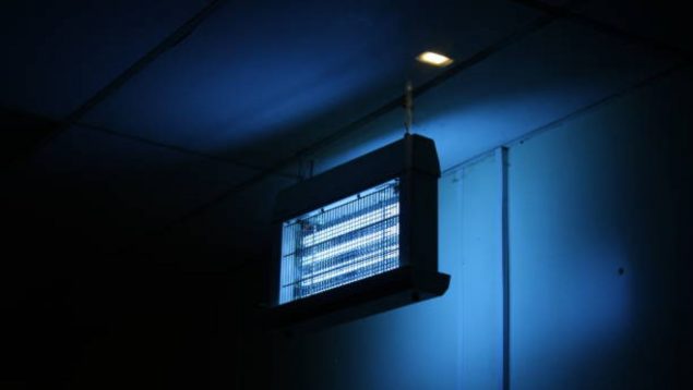 ¿Son efectivas las trampas de luz en el control de plagas? - Pleez